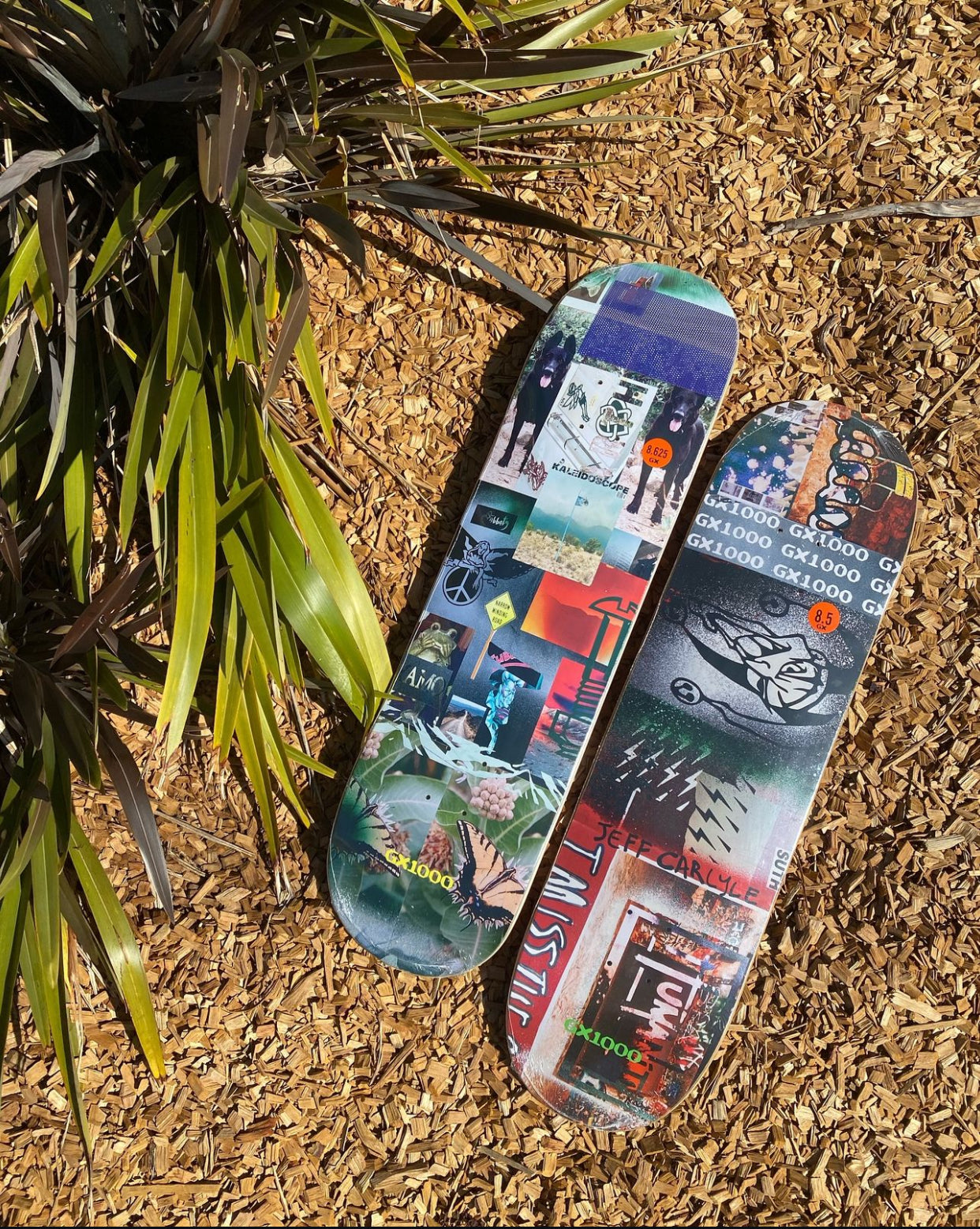 DECKS – New Traditions